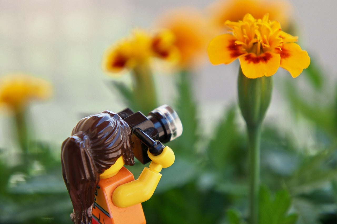 Botanics – Flowers, Plants & Nature 🌿🌸🌻 – Brickmania